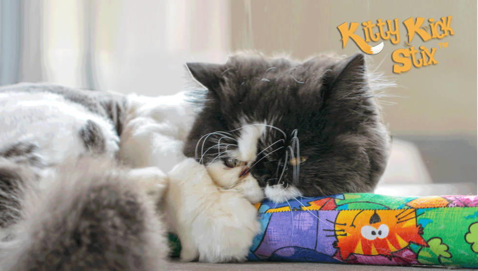 Cat Kicker Toy Made in the USA by Kitty Kick Stix | BuyDirectUSA